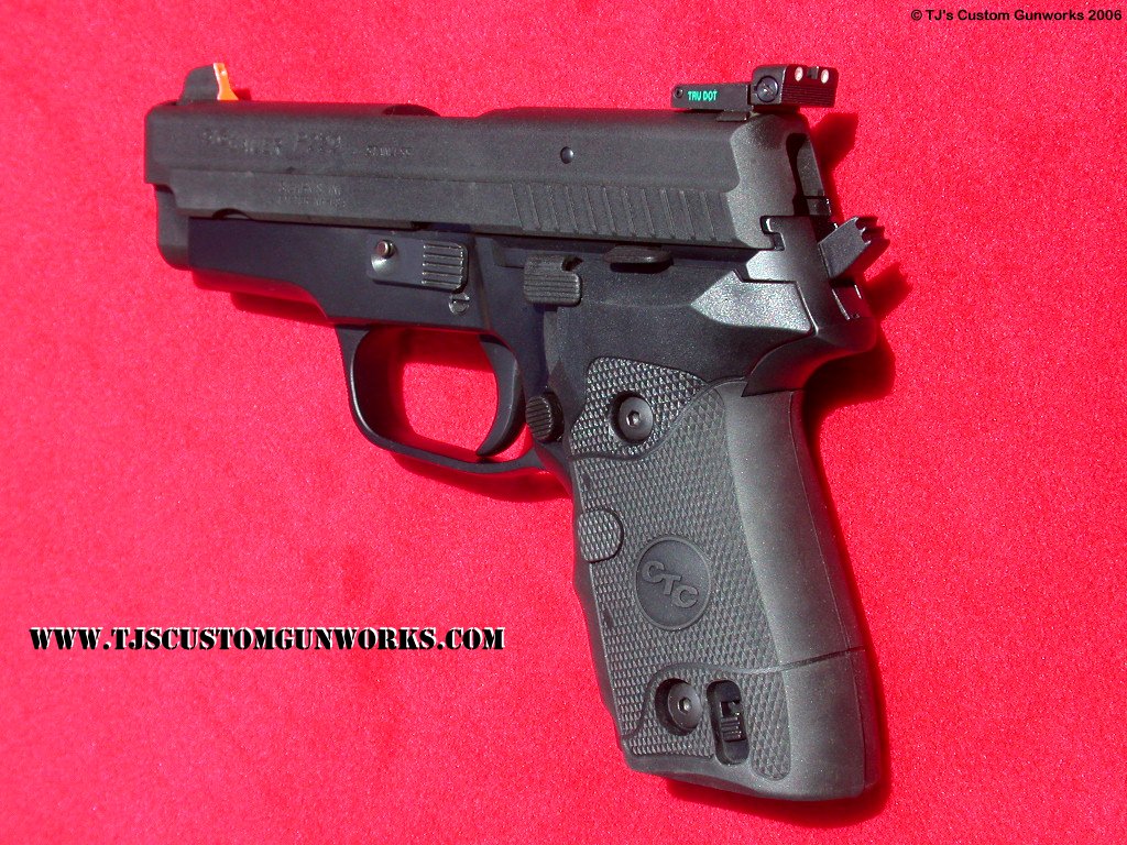 Custom Sig Sauer Stainless P229 Teflon & Adj Night Sights